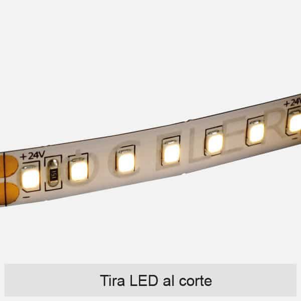 · Tira LED IP20 RGB · CELER