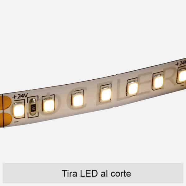 Consulta nuestro catálogo de Tiras LED | CELER